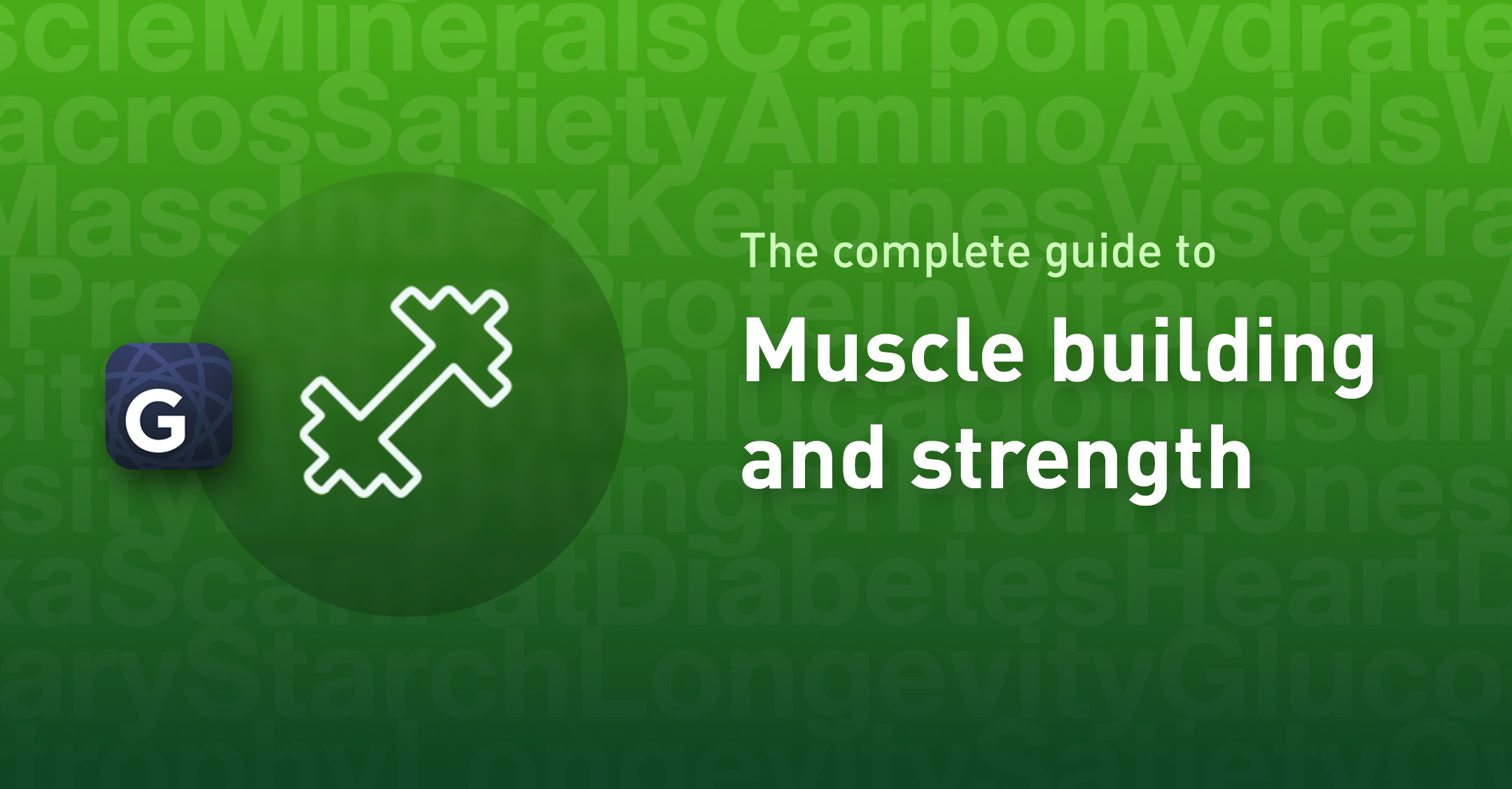 Muscle Strength Guide Intro